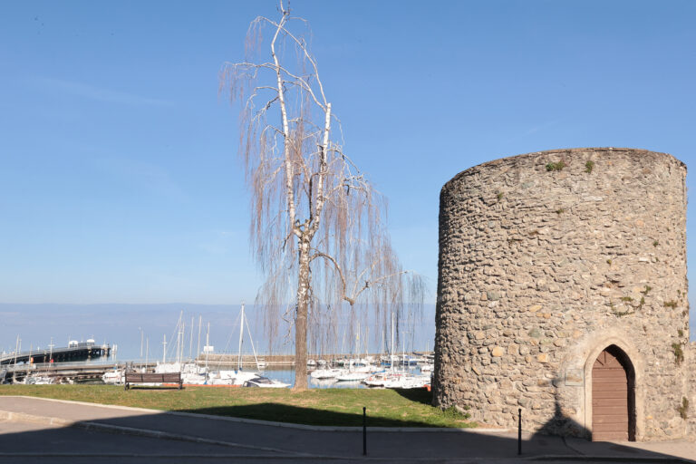 ACCUEIL - Restaurant La Tour - Thonon